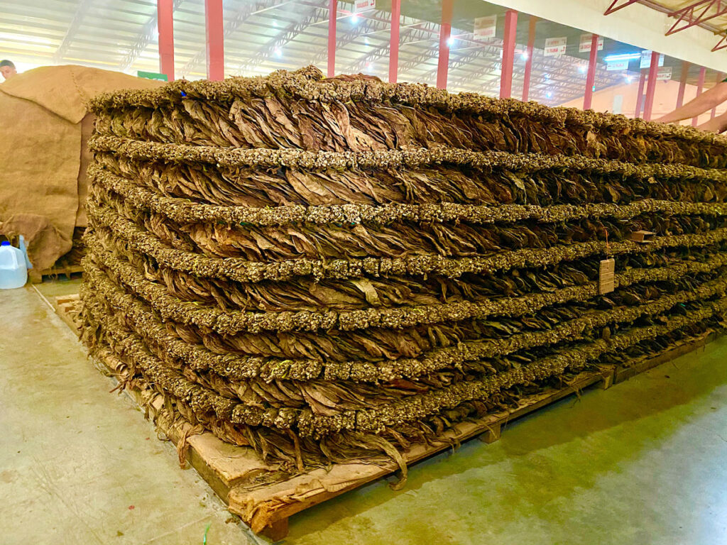 Gallery – My Father Cigars