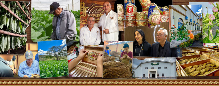 Gallery – My Father Cigars